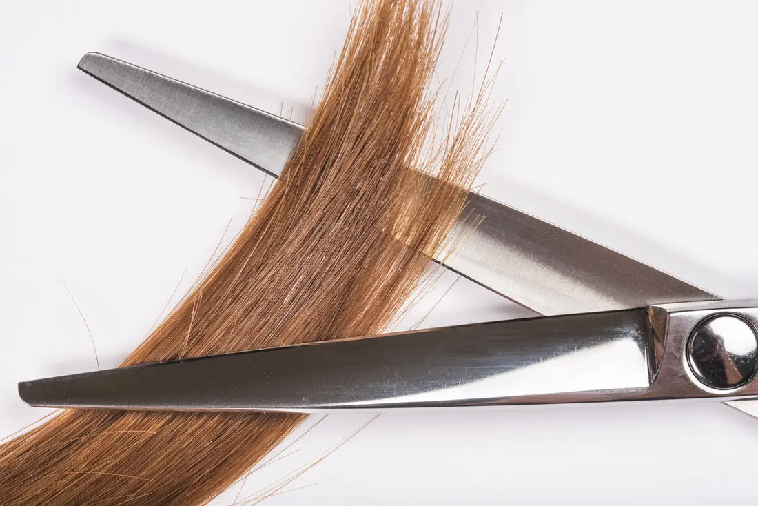 Why Trimming Your Hair Is Important: The Benefits of Regular Haircuts ...